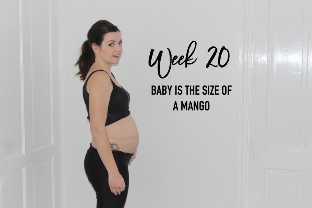 Pregnancy Update - 20 weeks - Roseyhome